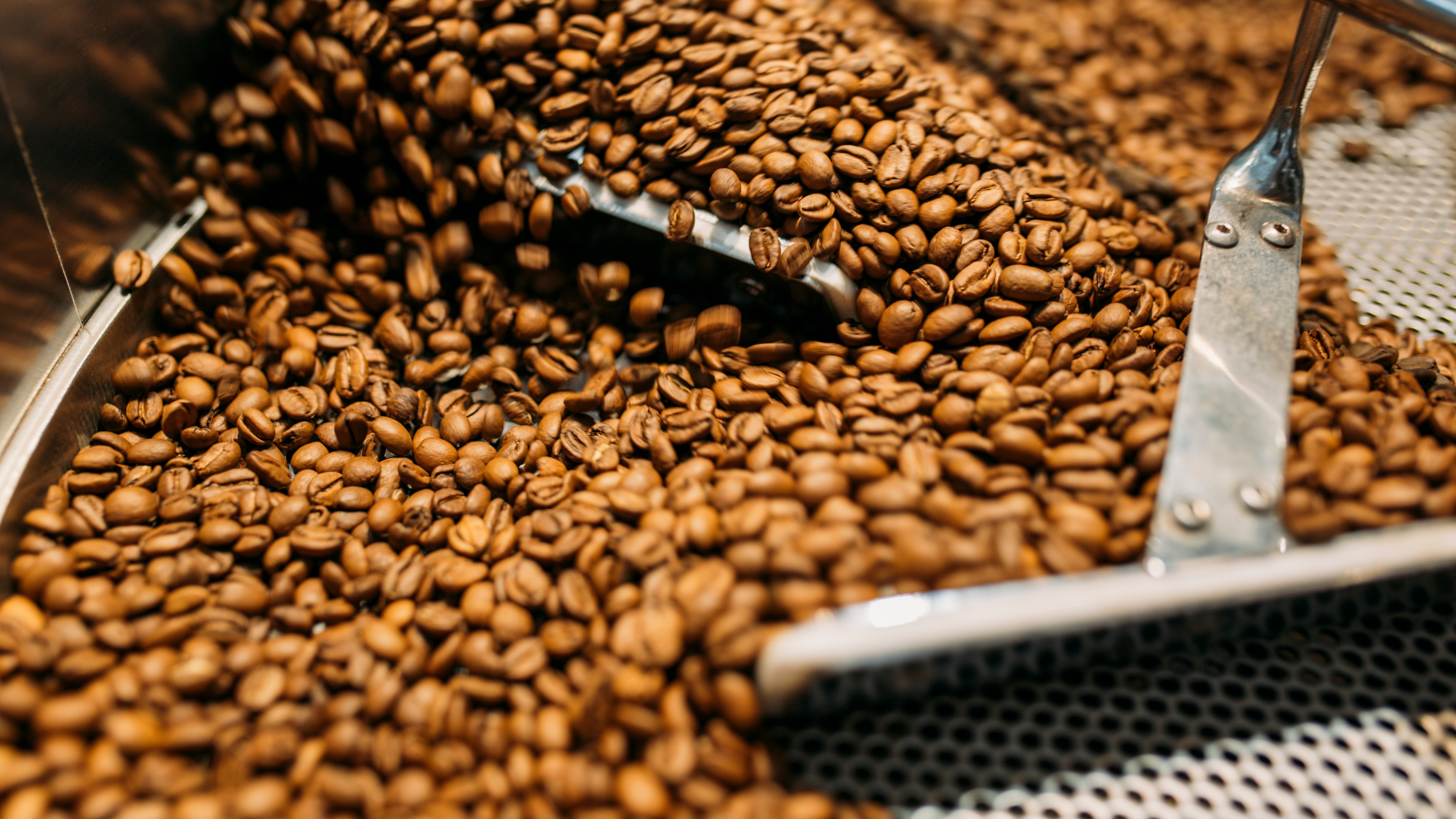 Meet Joe: A Vital Part of Our Coffee Roasting Team – Bizarre Coffee