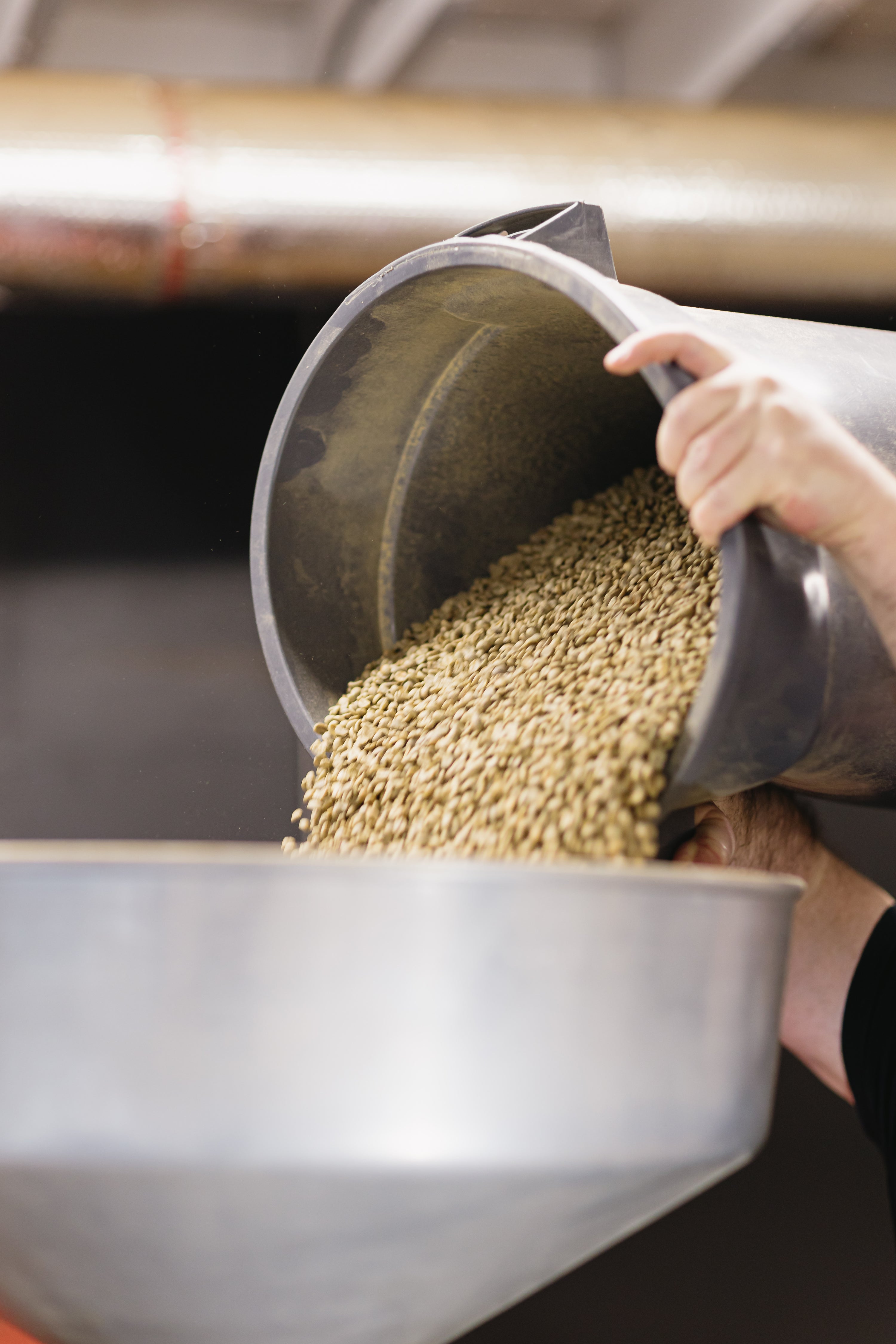 Wholesale Bizarre Coffee | Unique Small-Batch Roasts for Your Business