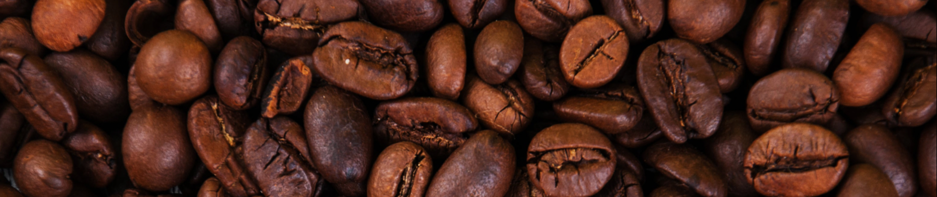 Wholesale Bizarre Coffee | Unique Small-Batch Roasts for Your Business